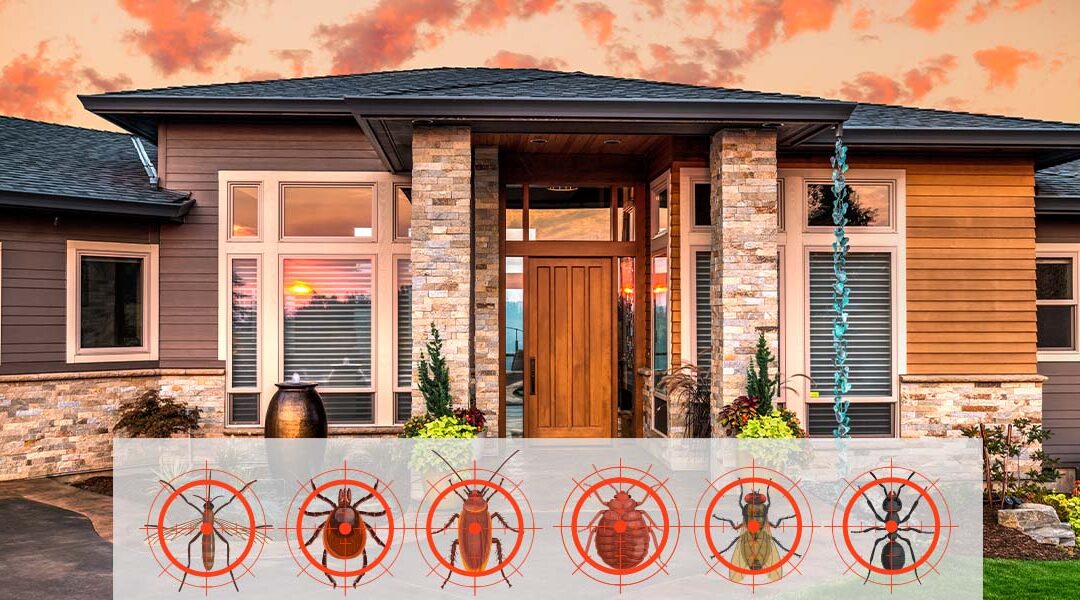 The Importance of Regular Pest Control Service in Phoenix, AZ - Invader ...